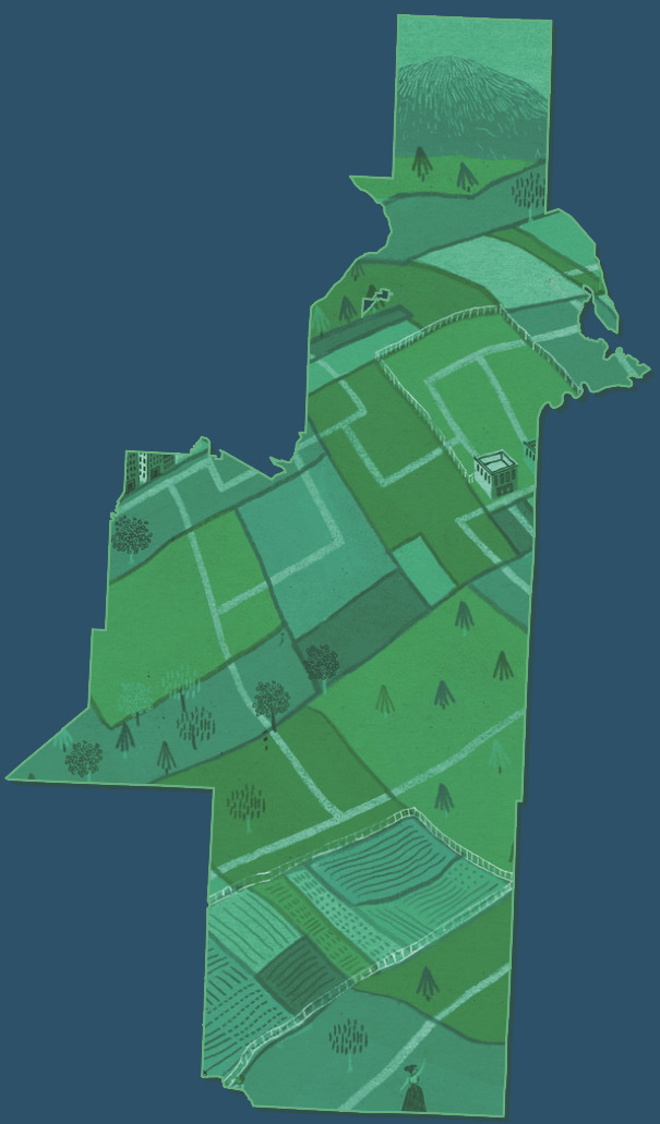 81050 - Regrid: Nationwide property data and mapping tools for everyone