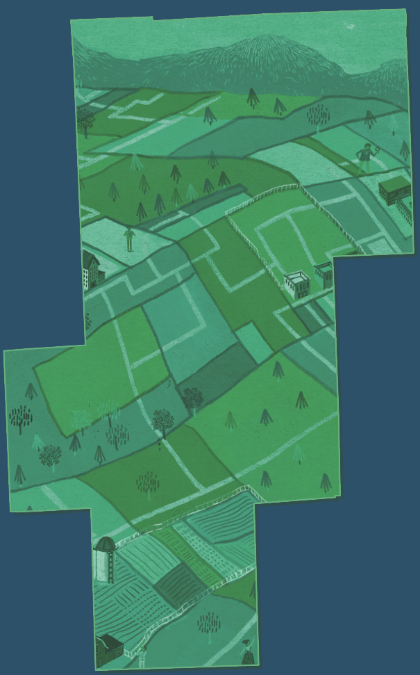 Cove City - Regrid: Nationwide property data and mapping tools for everyone