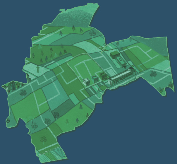 Cartersville - Regrid: Nationwide property data and mapping tools for ...