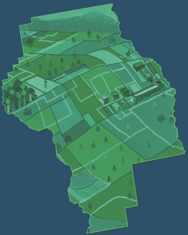 Berrien County, Georgia parcel data - Regrid