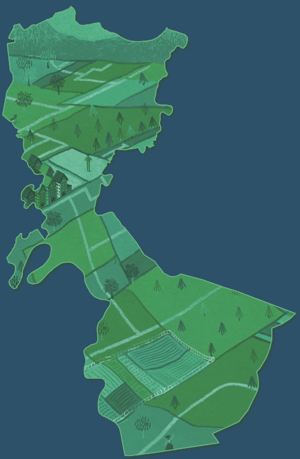 Savannah - Regrid: Nationwide property data and mapping tools for everyone