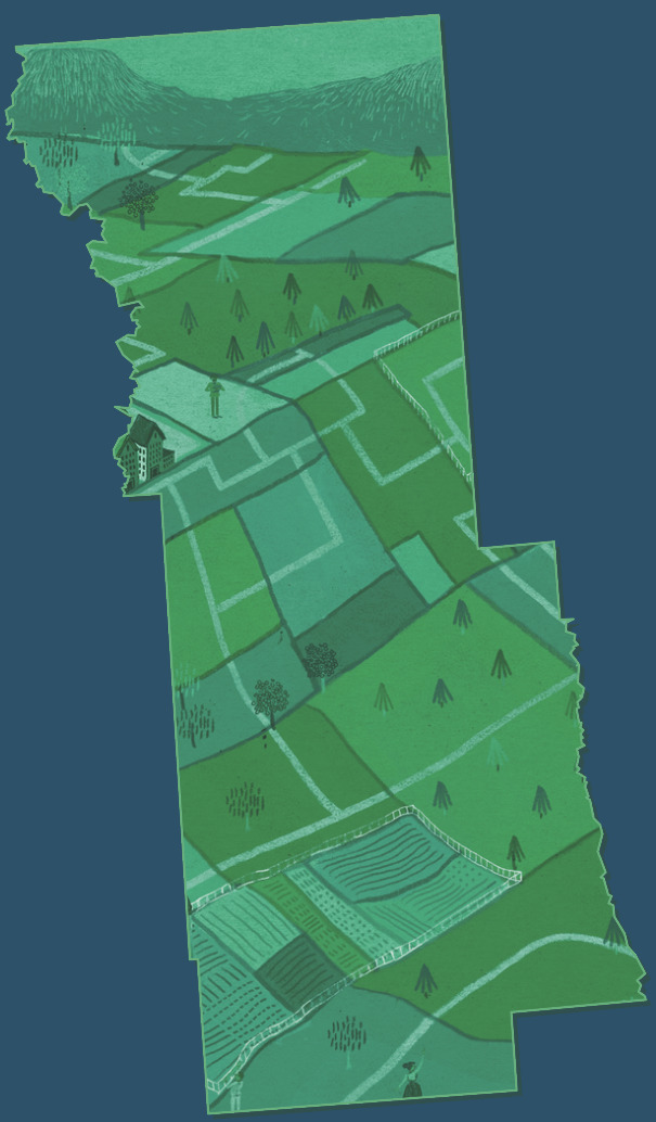 Webster Parish - Regrid: Nationwide property data and mapping tools for ...