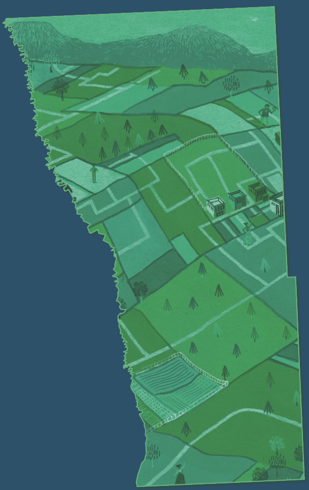 Wilkin County - Regrid: Nationwide property data and mapping tools for ...