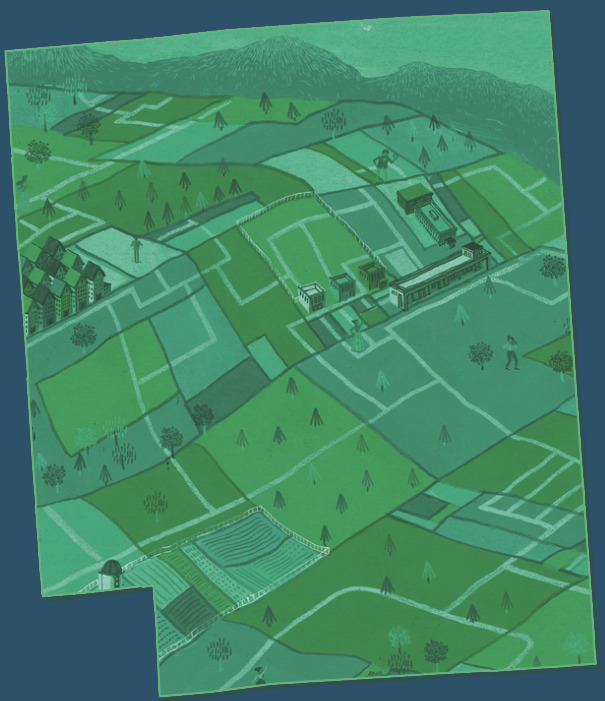 Grape Grove - Regrid: Nationwide property data and mapping tools for ...