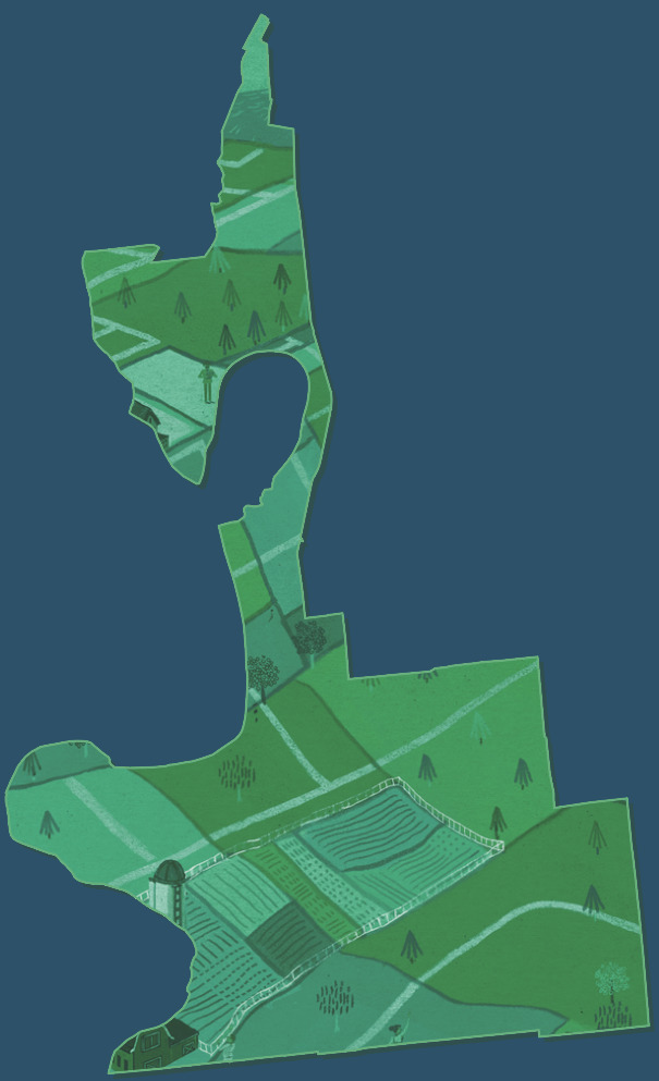 1 - Regrid: Nationwide property data and mapping tools for everyone