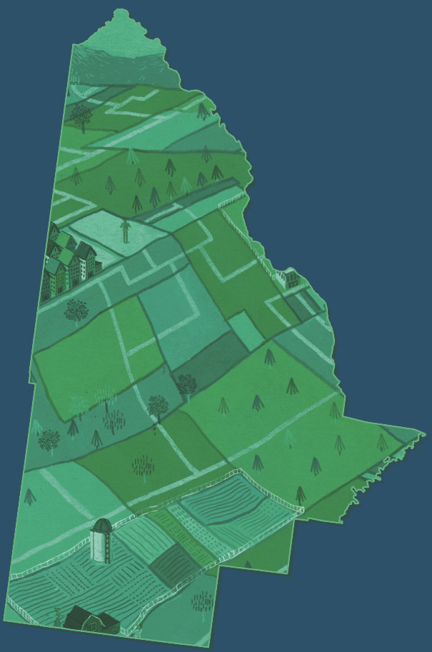 Gildford - Regrid: Nationwide property data and mapping tools for everyone