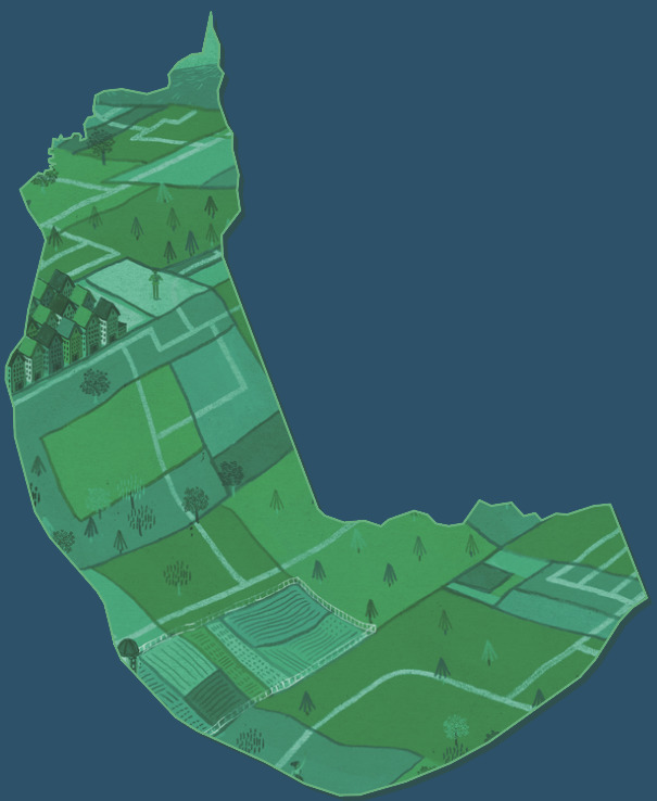 Chowan County, North Carolina parcel data - Regrid