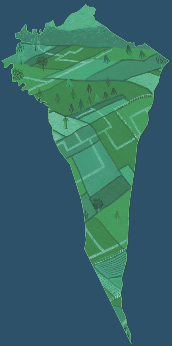 New Hanover County - Regrid: Nationwide property data and mapping tools ...