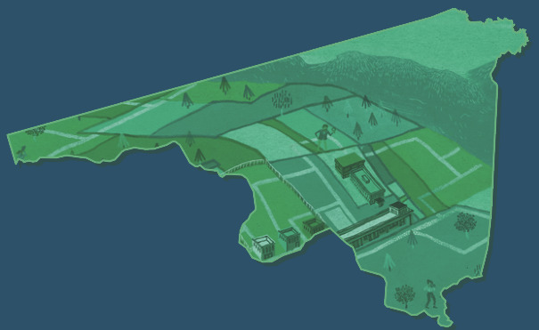 Northampton County, North Carolina parcel data - Regrid