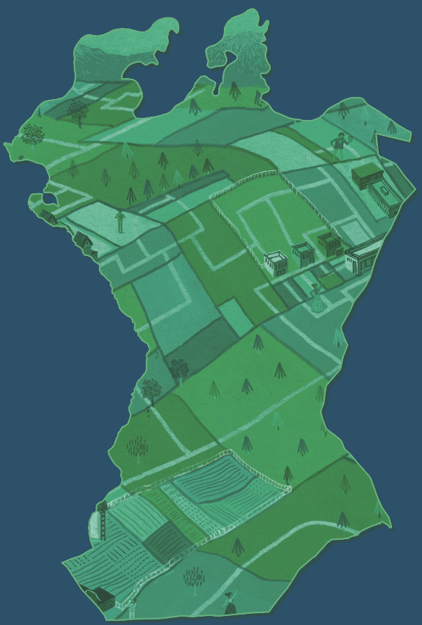 Brogden - Regrid: Nationwide property data and mapping tools for everyone