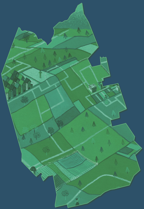 Walnut Grove - Regrid: Nationwide property data and mapping tools for ...