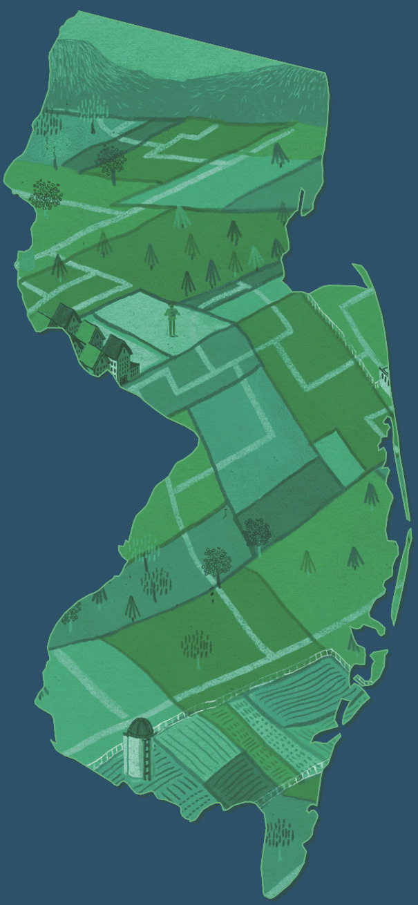 New Jersey - Regrid: Nationwide property data and mapping tools for ...