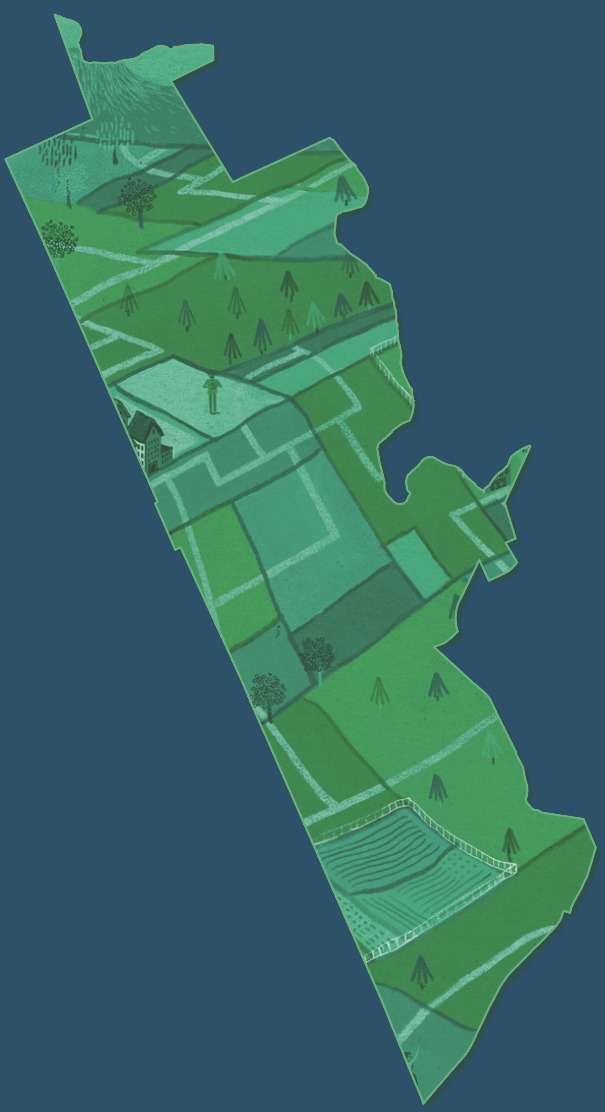 Palmer - Regrid: Nationwide property data and mapping tools for everyone