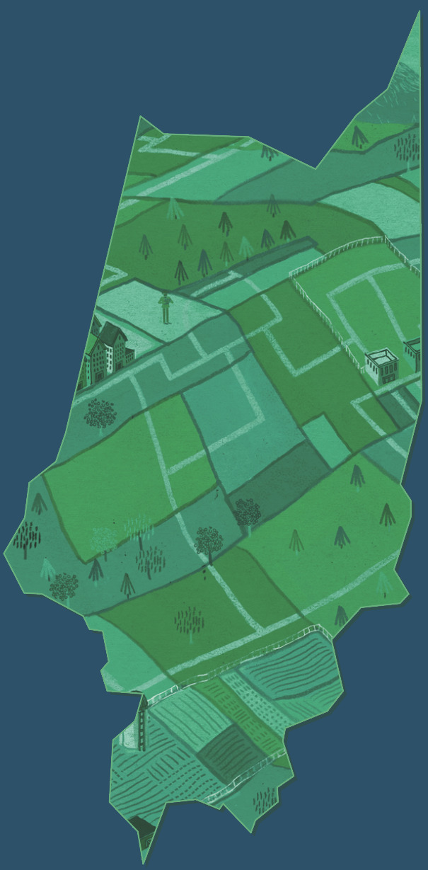 Luquillo Municipio, Puerto Rico parcel data - Regrid