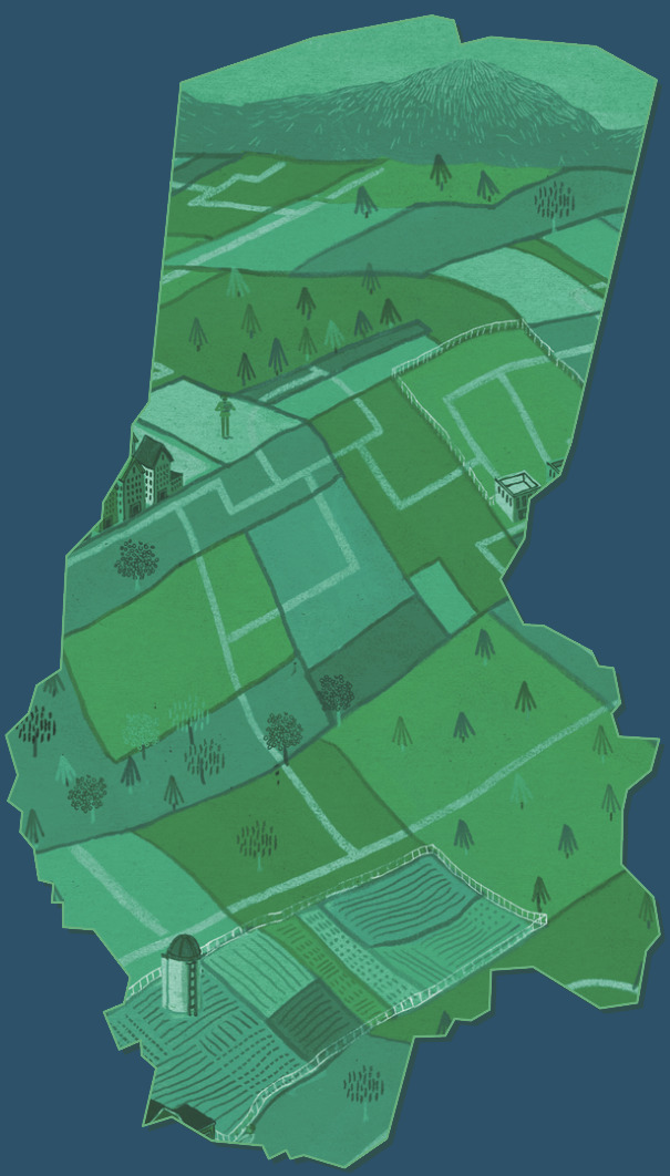 Río Grande Municipio, Puerto Rico parcel data - Regrid