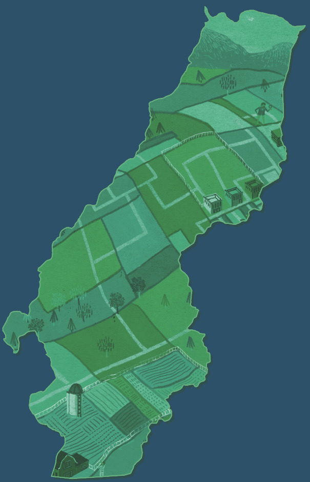 Caín Alto - Regrid: Nationwide property data and mapping tools for everyone