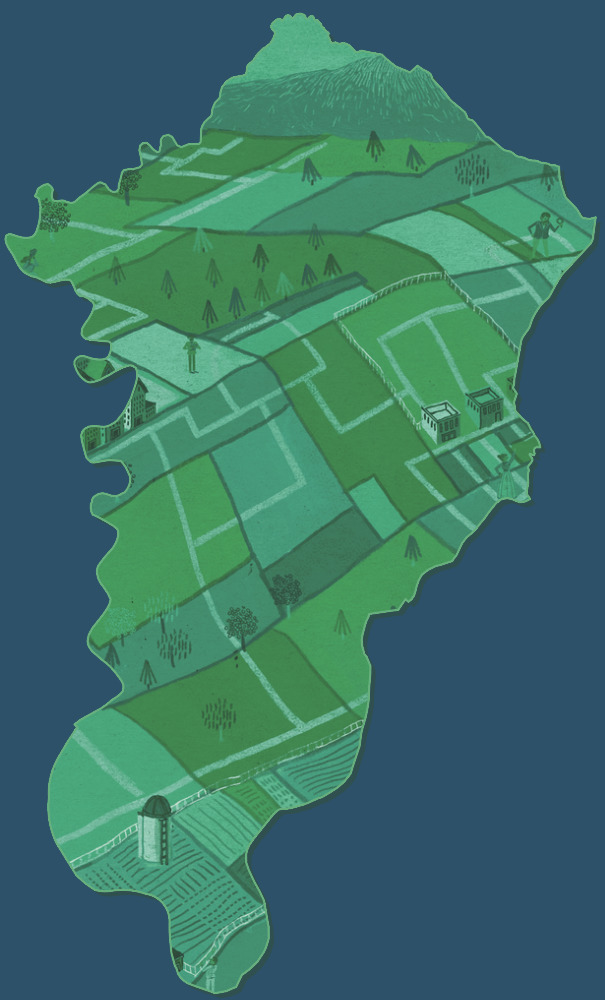 Wando - Regrid: Nationwide property data and mapping tools for everyone