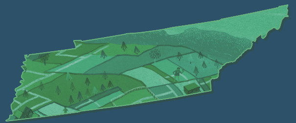 Tennessee - Regrid: Nationwide property data and mapping tools for everyone
