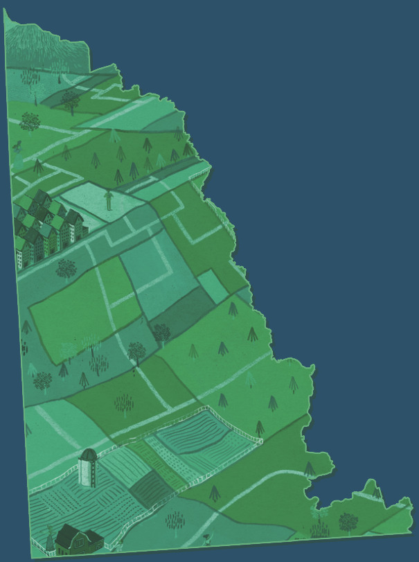 Hughes Springs-Avinger - Regrid: Nationwide property data and mapping ...