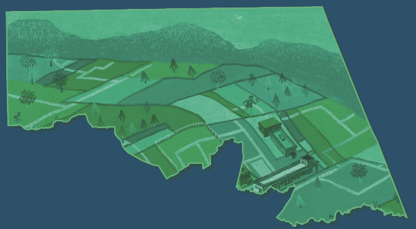 Morgan Mill-Bluff Dale - Regrid: Nationwide property data and mapping ...