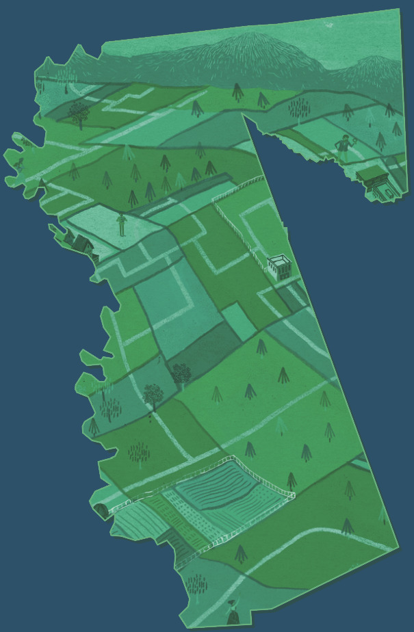 Waller County - Regrid: Nationwide property data and mapping tools for ...